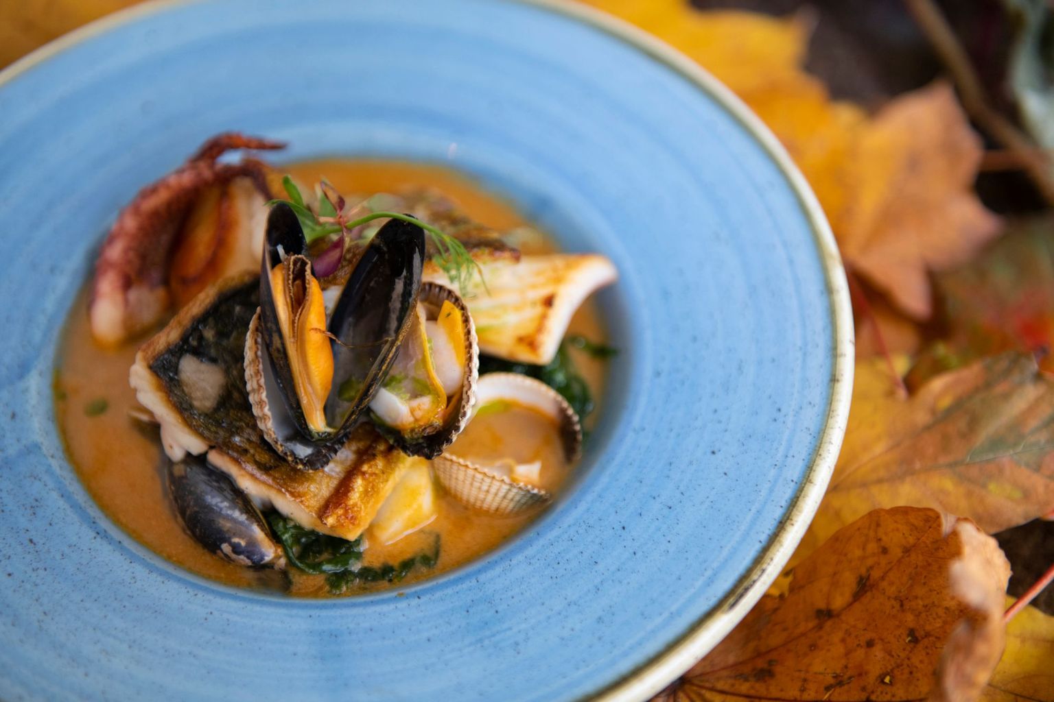 Petit Pois Brighton | French restaurant | Brighton Lanes