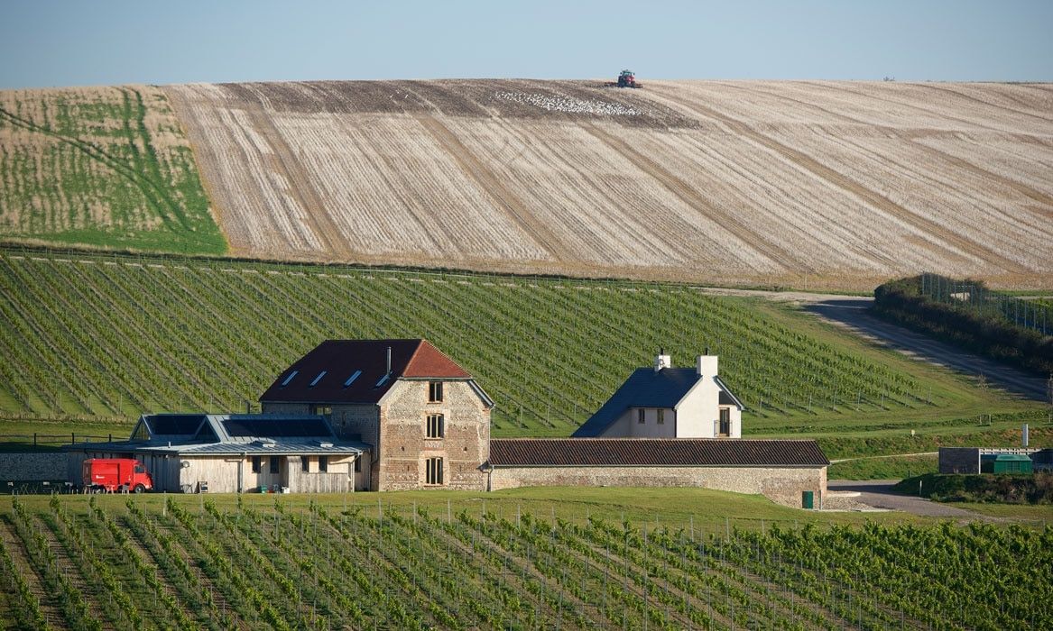 Rathfinny Wine Estate | Tasting Room Restaurant | Vineyard