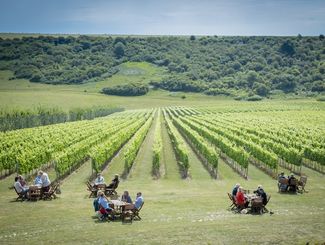 Rathfinny Wine Estate | Tasting Room Restaurant | Vineyard