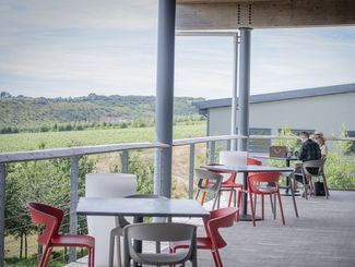 Rathfinny Wine Estate - Tasting Room | Vineyard and Restaurant