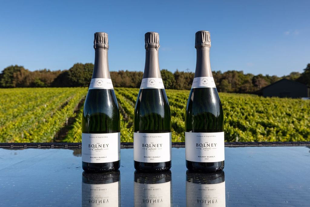 Bolney Wine Estate | Vineyard | Guided Tours and Tastings