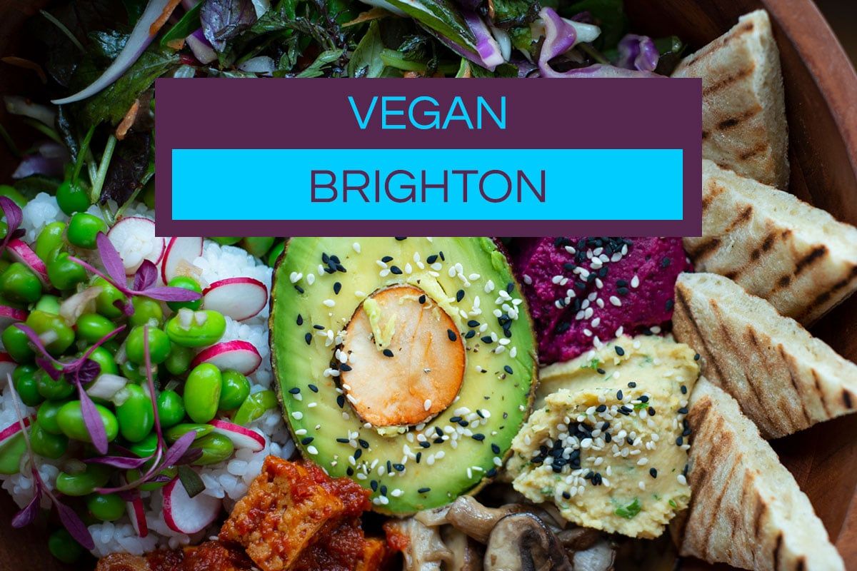 Brighton Restaurants Guide | Local reviews | News | Where to eat
