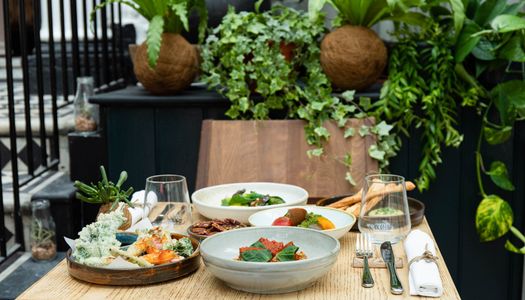 Vegan Restaurants Brighton | Local guide to the best plant-based eats