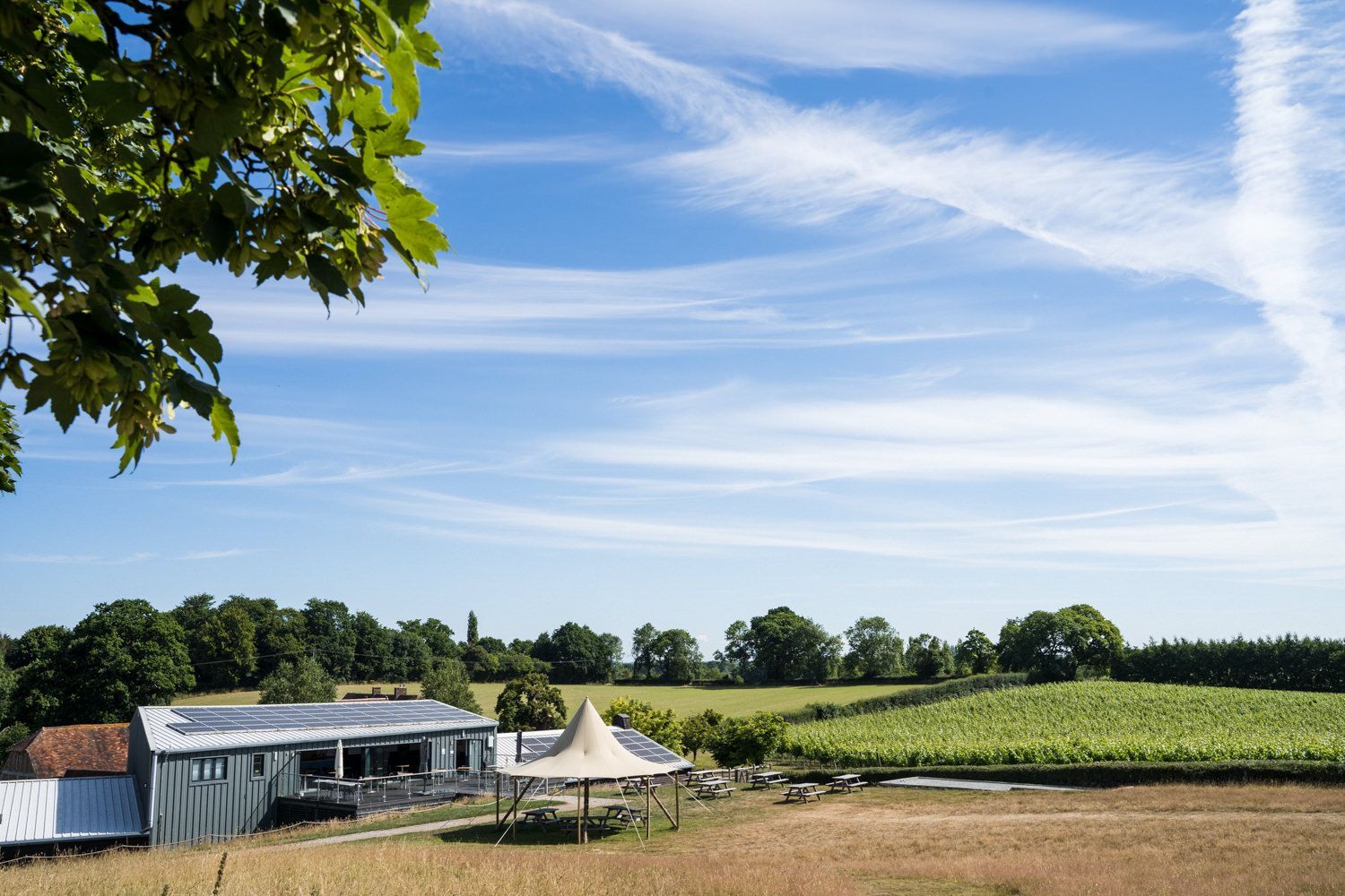 Albourne Estate and Tasting Room | Events | Getting there