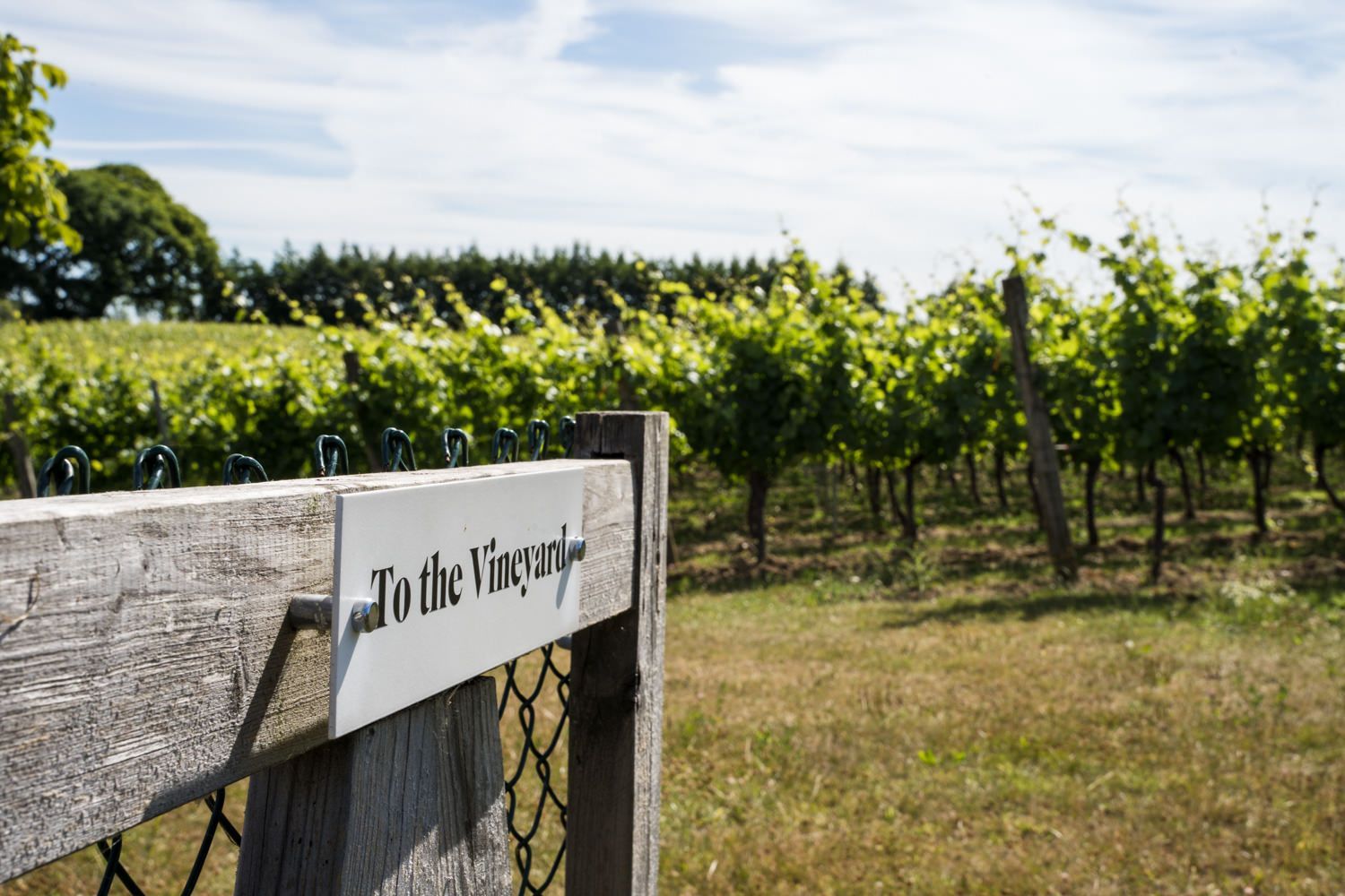 Albourne Estate and Tasting Room | Events | Getting there