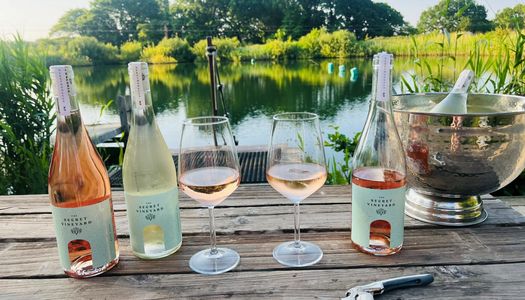 Wine Bar Brighton | The BEST Wine Bars in Brighton and Hove